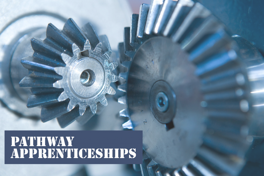 Pathway Apprenticeship Programme - Tullos Training